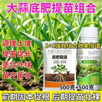 大蒜提苗剂蒜苗生根壮苗防黄叶干尖烂根加速生长大蒜猛长水溶肥