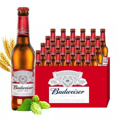 百威啤酒Budweiser啤酒330ML24瓶装小瓶夜场整箱供应批发