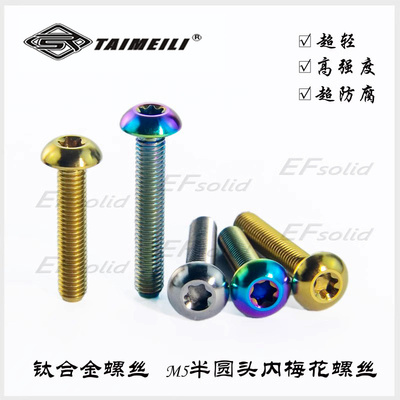钛合金螺丝半圆头内梅花M5