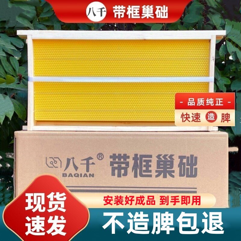 八千中蜂巢础巢框成品带框蜂巢意蜂巢脾蜜蜂巢基蜂箱专用工具养蜂