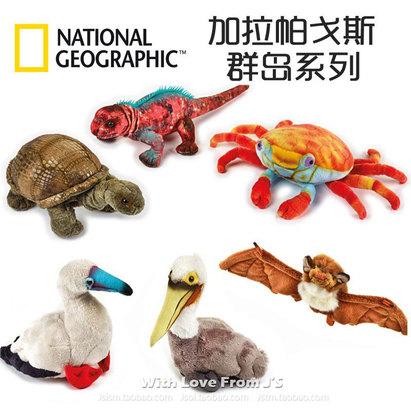 LEOSCO国家地理 加拉帕戈斯群岛系列 鹈鹕蟹龟蜥仿真动物毛绒玩偶