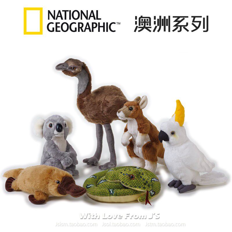 LEOSCO国家地理 澳洲系列 袋鼠考拉鹦鹉鸸鹋蟒蛇仿真动物毛绒玩偶