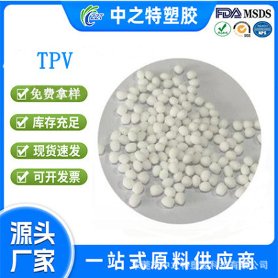 TPV埃克森8191-55B100