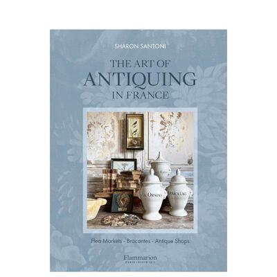 【预售】法国寻宝指南：跳蚤市场/古董市集/古玩店 The Art of Antiquing in France Flea Markets - Brocantes原版英文生活综合
