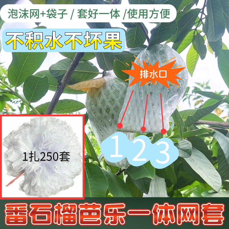 芭乐防虫袋番石榴网套袋水果专用保护袋特厚款番石榴泡沫一体网袋