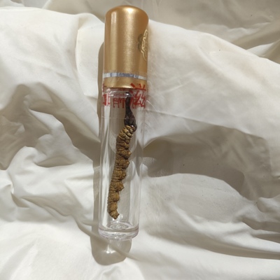 冬虫夏草整草头期新干虫草送礼自用藏区青海非那曲虫草
