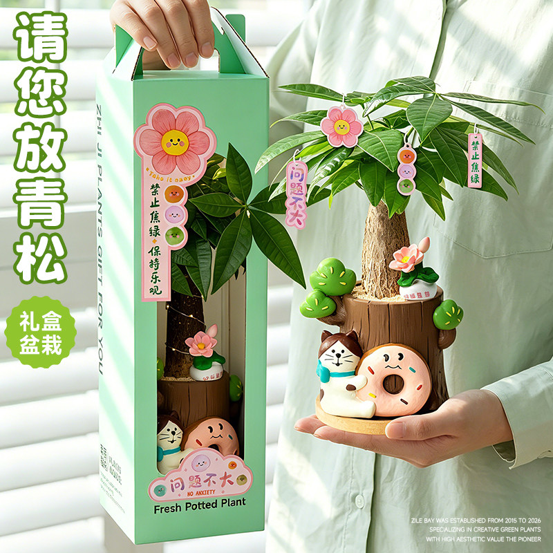 发财树小盆栽情绪植物办公室桌面绿植解压治愈摆件生日礼物毕业