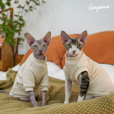 GINGERAIN猫咪保暖卫衣婴儿棉
