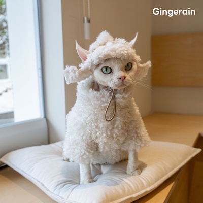 GINGERAIN 羔羊卷大衣德文猫衣服卷毛绵羊造型猫咪挡风外出外套装