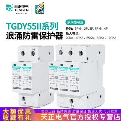 天正TGDY55II浪涌电涌保护器2P/3P+N/4P二级防雷避雷器20KA40KA