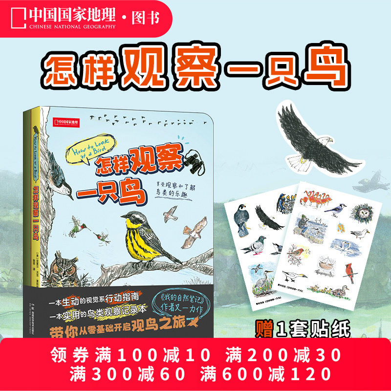 怎样观察一只鸟 克莱尔·沃克·莱斯利新作彩铅画鸟类观察科普读物