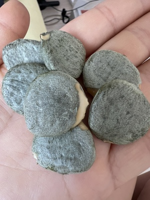 正宗广西木鳖子白仁500g