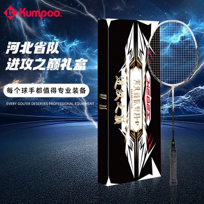 熏风河北省队羽毛球拍国伦2300