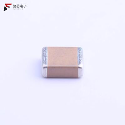 全新正品FS55X225K101EFG|FS55X106K500EHG|FS55X156K500EHG