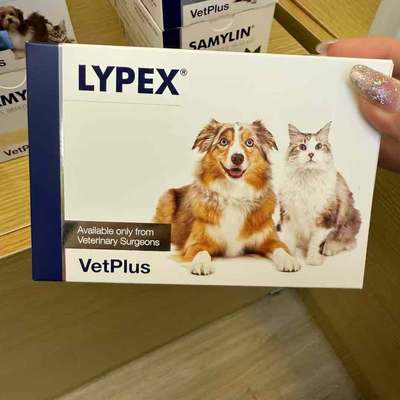 港购英版胰腺炎胰宝 宠特宝VetPlus LYPEX犬狗猫多酶胰酶胰宝60粒