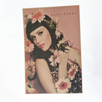 KatyPerry水果姐海报复古装饰画