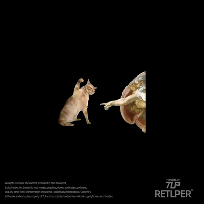 RETLPER镂空车贴 拒绝接触的猫咪 搞笑创世纪 汽摩防水平面贴纸
