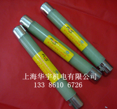 XRNP1高压限流熔断器XRNP-10/0.5A 1A 2A 3A 4A 5A XRNP-12