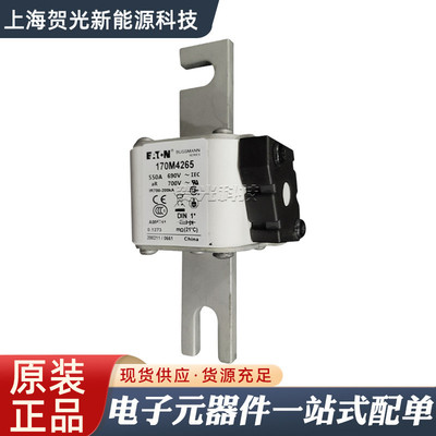 低压快速熔断器170m4264/170m4265/170m4266/170m4267