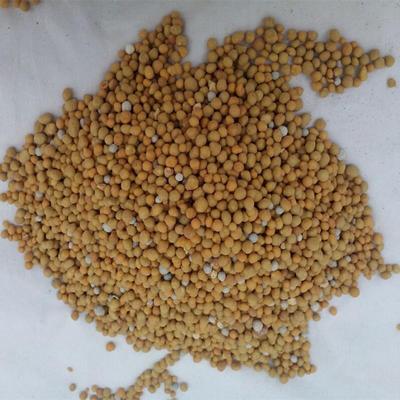千克绿肥a2多肉球根专用缓释肥颗粒肥（9-14-19）散称1奥