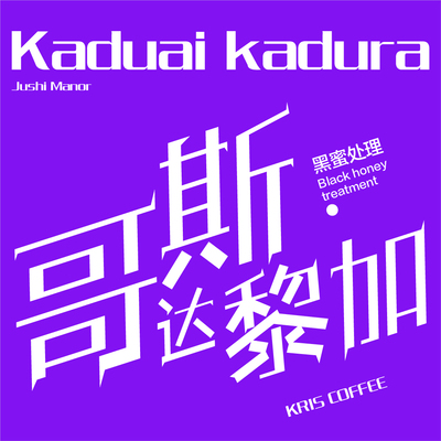 【KRIS咖啡】 - 哥斯达黎加 精品手冲咖啡滴滤新鲜烘焙黑咖啡包邮