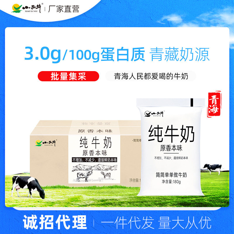 光明小西牛 纯牛奶小白袋牛奶透明枕网红奶新鲜日期180g*16袋