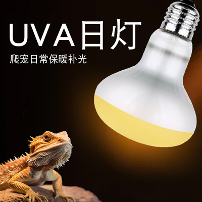 爬宠UVA日灯，鬃狮蜥加热灯晒背灯仿真太阳，豹纹睫角守宫保温灯