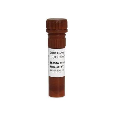 Biosharp 核酸染料SYBR Green I/II in DMSO (10000X) 含票价