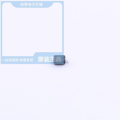 GSOT05C-MS/GBLC36CI-MS/HT1621(SSOP24)