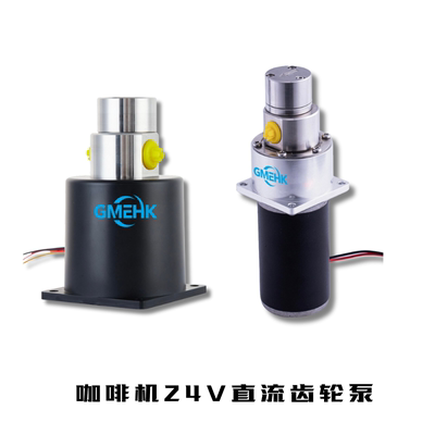 咖啡机配件磁力齿轮泵24v304
