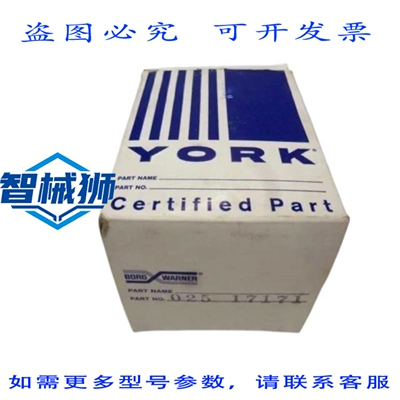 原装供应 约克 025 17171 NSMP
