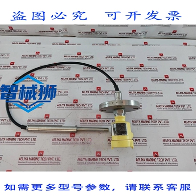 原装供应 VEGA VB62.CXTGCZKMX 液位变送器 IP66/67 1260 毫米 VB