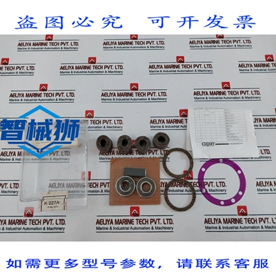 原装供应 KIT DI SERVIZIO GAST K 227A PER POMPE A VANO ROTATI