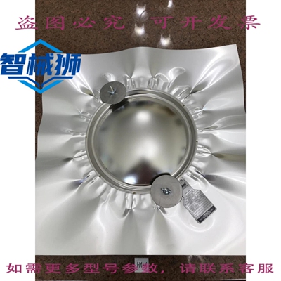 原装供应 FIKE BURSTER片 8 HOV BT 22.10 PSIG 160°&