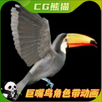 UE5虚幻5 Toucan 巨嘴鸟角色模型带动画