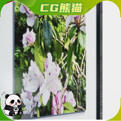 UE5虚幻5 Nature Photo Frames 自然植物相框画框模型
