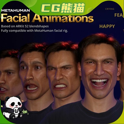 UE5.7-5.8 MetaHuman Vitality  70 Pro Facial Animations 表情