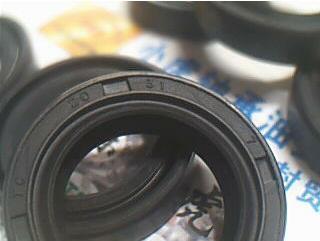 TC20*31*7C165TTO台湾油封