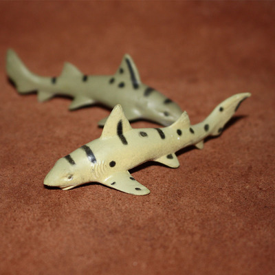 儿童科教认知模型玩具