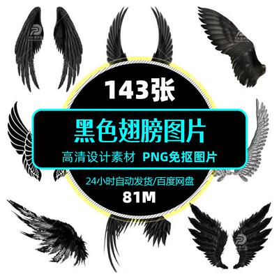 黑色天使翅膀插画图卡通手绘恶魔翅膀翅膀图案蝙蝠翅膀PN免抠素材