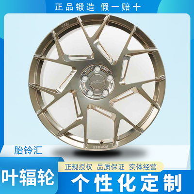 国产叶辐轮YP51轮毂个性定制锻造
