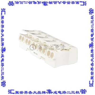 LK 980-01 RZ/ 5 SK BD 3 N PE 1 2 接插件连接器CONN LUMINAIRE