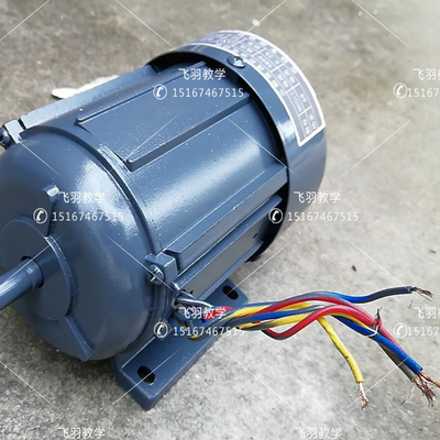 YS5024三相异步电机60W