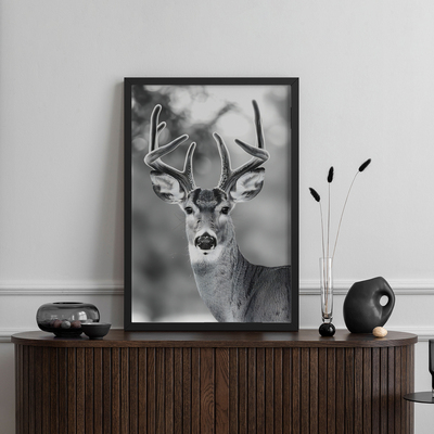 凝视的鹿客厅卧室沙发玄关动物黑白装饰画挂画艺术框北欧油画壁画