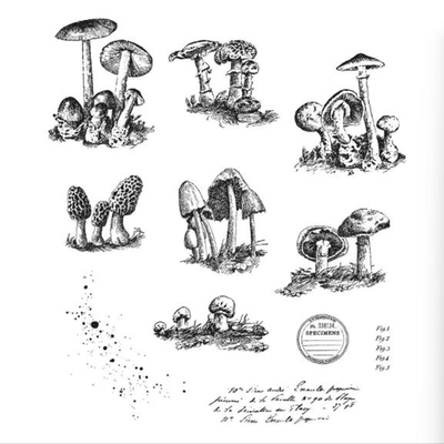 Timholtz进口印章DIY手工制作