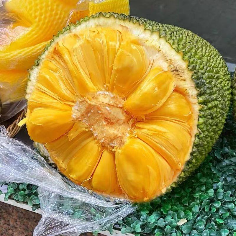 海南保亭黄肉菠萝蜜热带水果整箱当季水果现摘