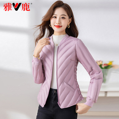 雅鹿新款羽绒服内胆女修身短款