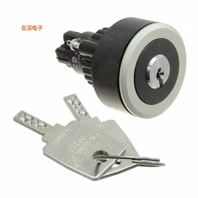 14-235.025K |原装全新SWITCH KEYLOCK 2POS DPST 5A 250V