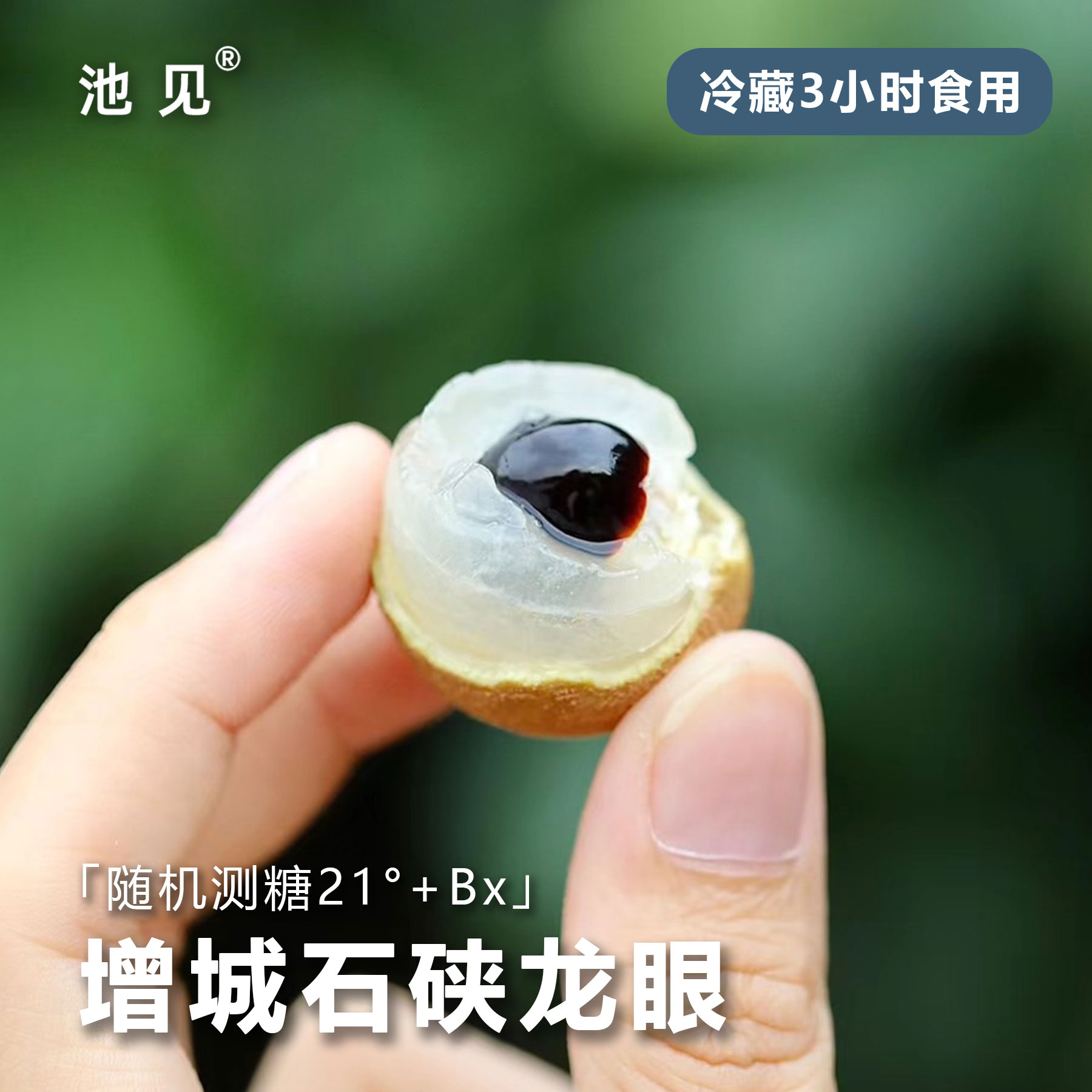 池见高州储良龙眼桂圆新鲜龙眼增城石硖现摘龙眼当季水果顺丰空运