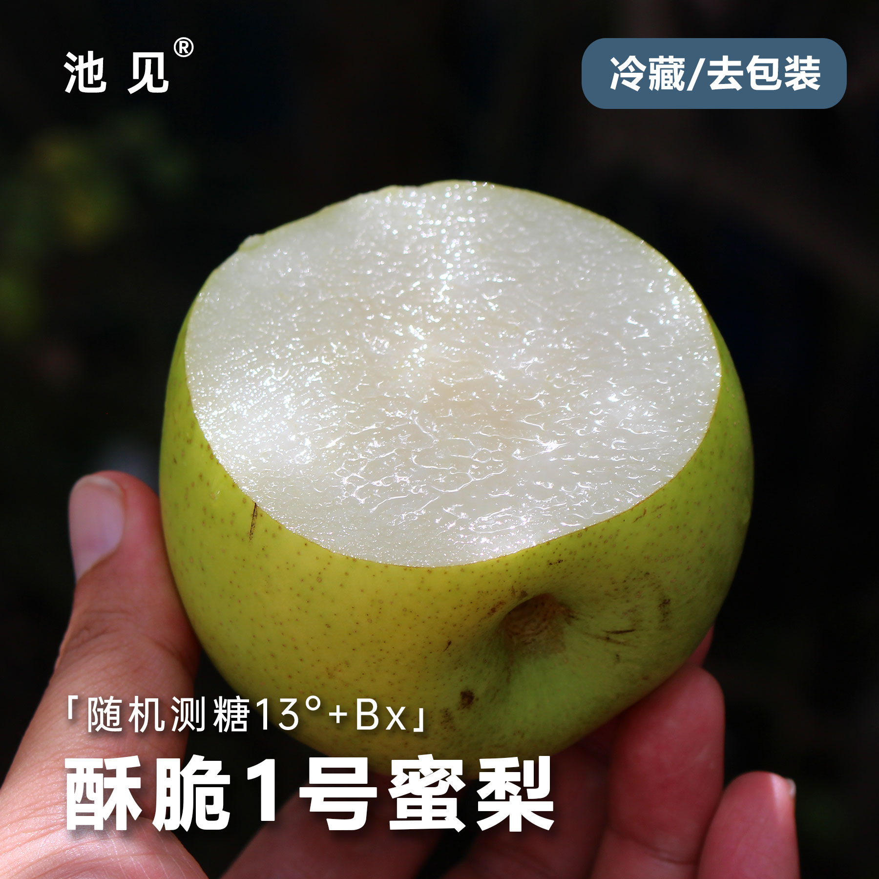 池见 大沙河苏翠一号蜜梨黄河沙梨当季新鲜水果酥脆青皮翠梨苏